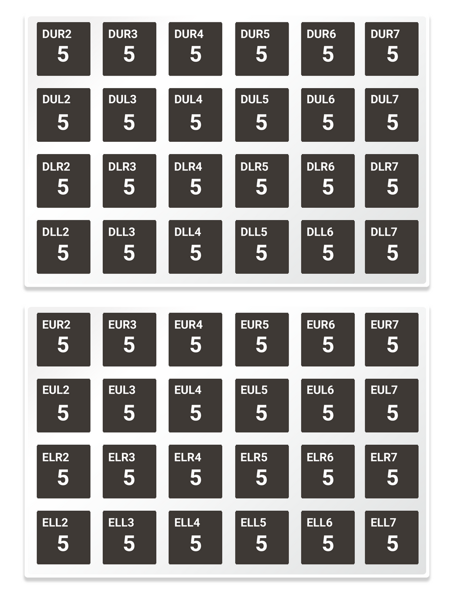 SSC Pre-Contoured Professional Kit - 240 Crowns – The Paediatric Dental ...